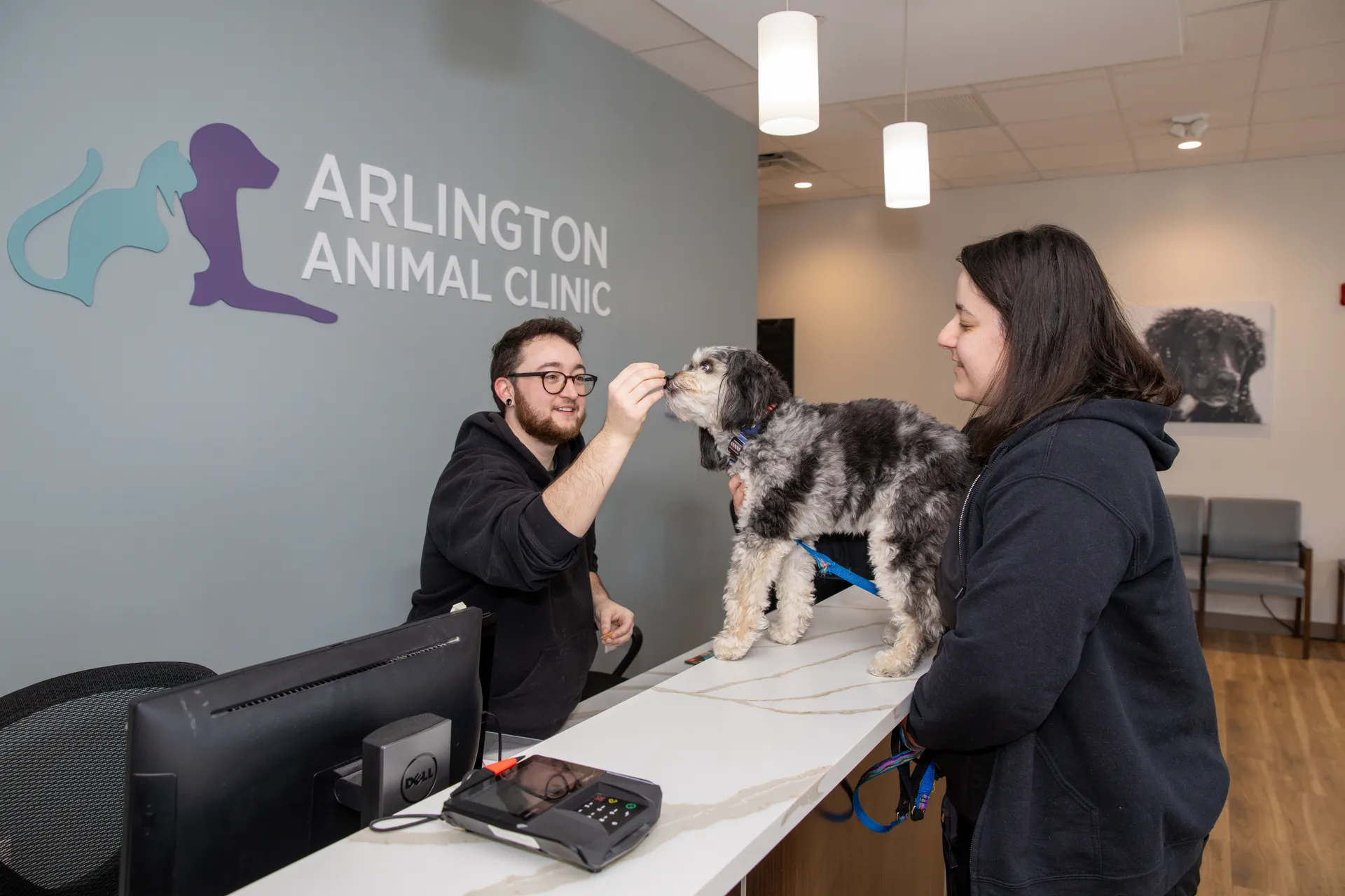 New Clients - Arlington Animal Clinic